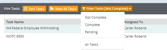 Hire Detail Page in ApplicantStack Onboard